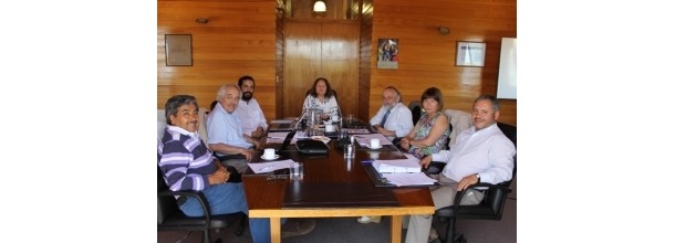 Docente del campus participa de la Red Chilena de Universidades por la ...